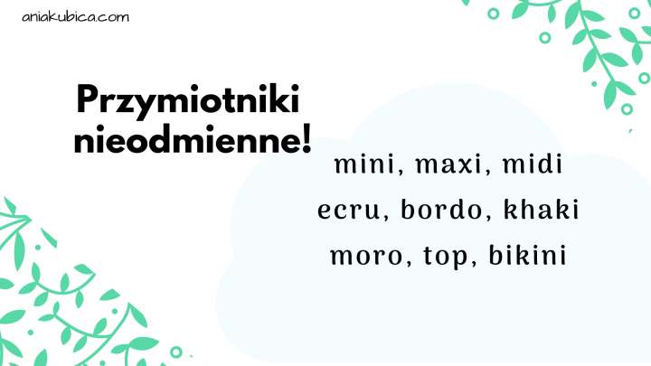 Przymiotnik od podstaw – Język polski