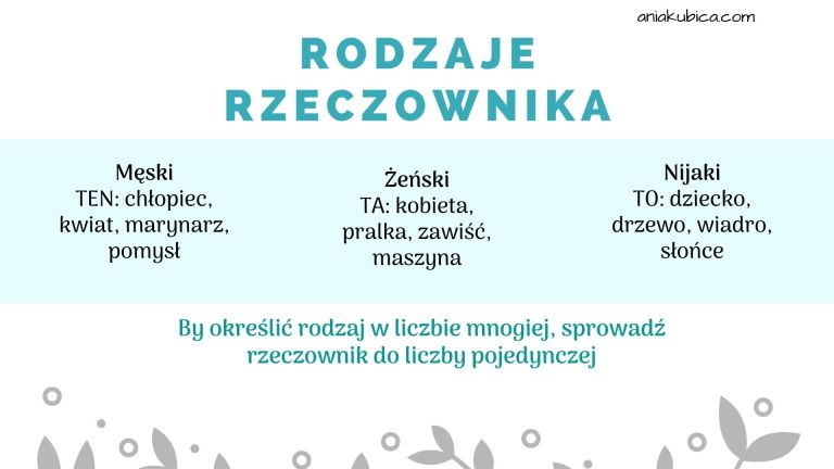 Rzeczownik od podstaw – Język polski