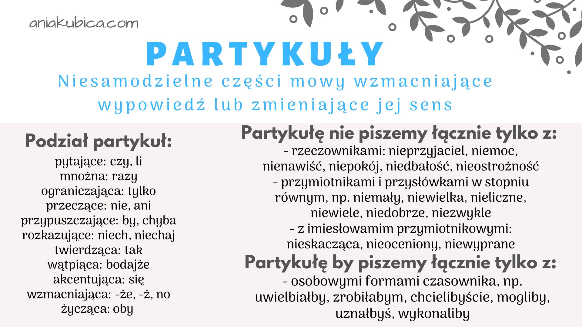 Zaimek, przyimek, spójnik, partykuła, wykrzyknik – od podstaw – Język ...